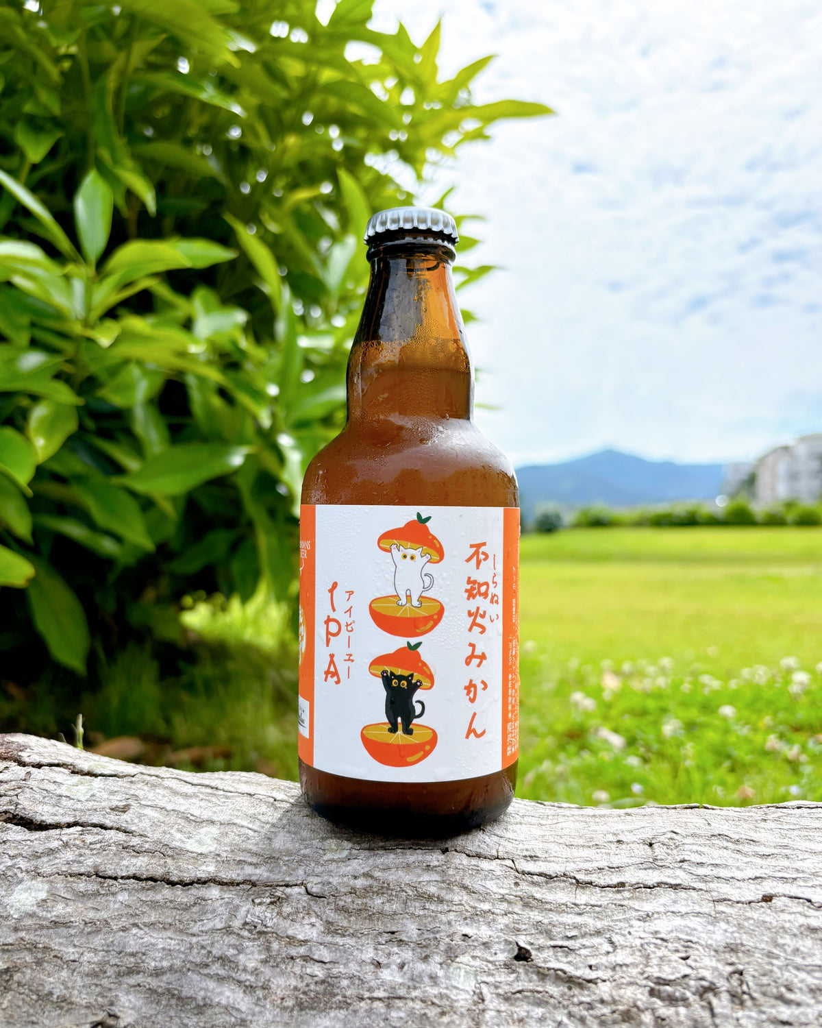 HUMANSBEER | Craft beer brewery | 人類麦酒醸造所