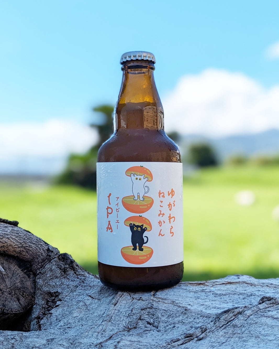 HUMANS BEER Online Store